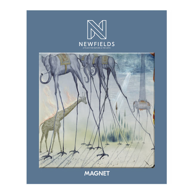 Salvador Dalí 'Elephants' Magnet – The Museum & Garden Shop at Newfields