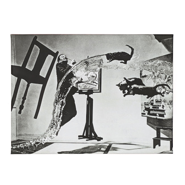 Dalí by Halsman Boxed Notecards – The Museum & Garden Shop at Newfields