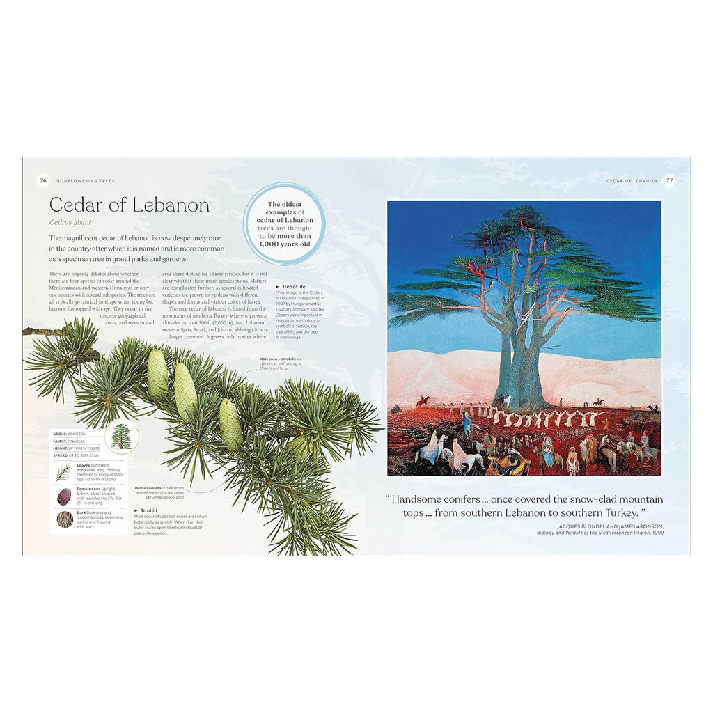 The Tree Book – The Museum & Garden Shop at Newfields