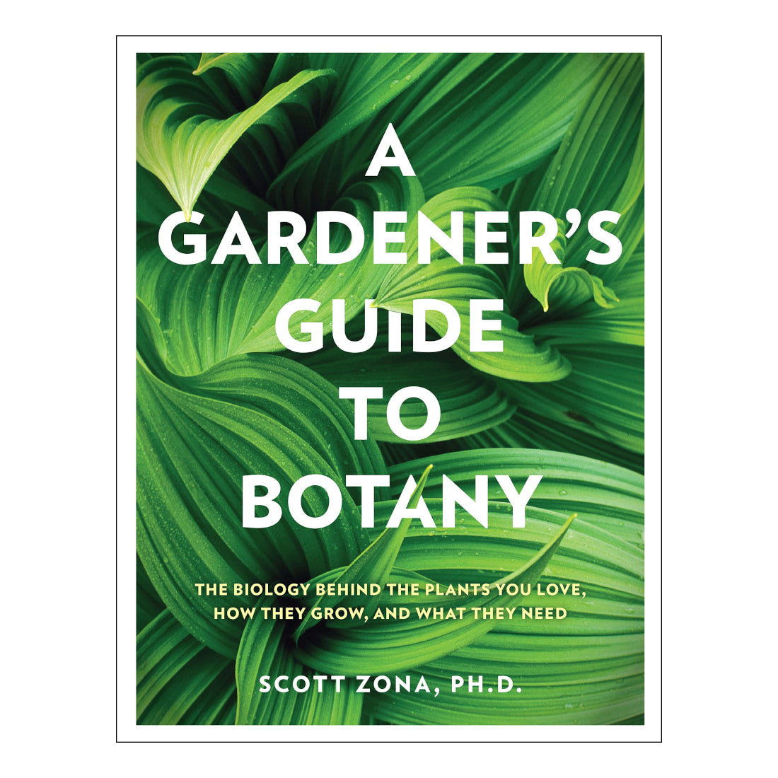 A Gardener's Guide to Botany – The Museum & Garden Shop at Newfields